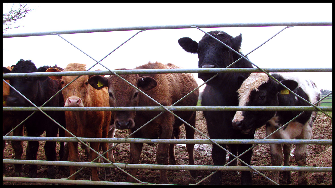 William Tyler Buser - Level Designer - Portfolios - Mapcore